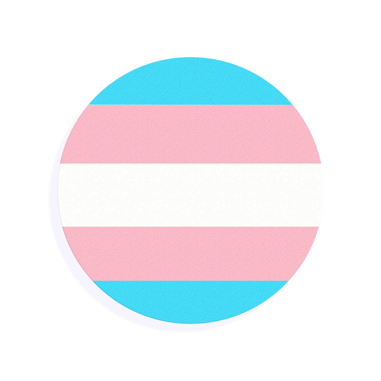 Trans Pride Flag Cocktail Topper